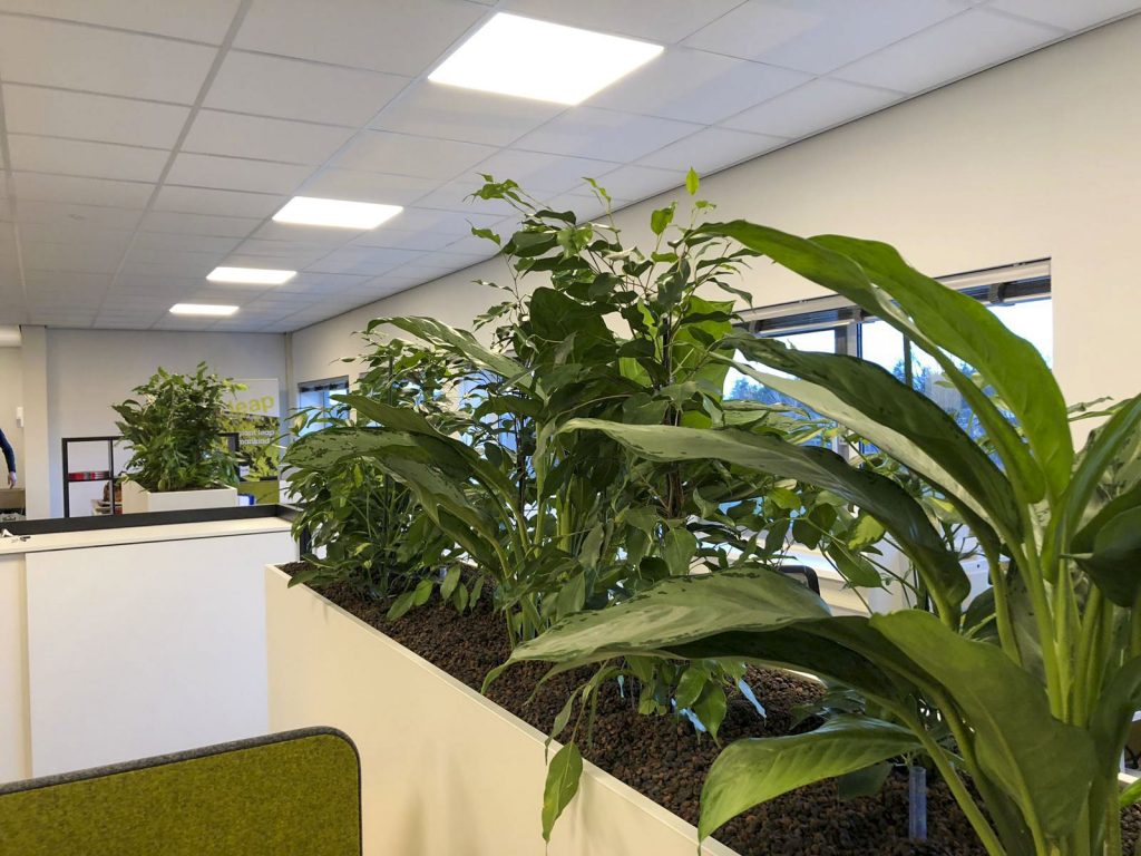 Planten op de kast - Planting Power